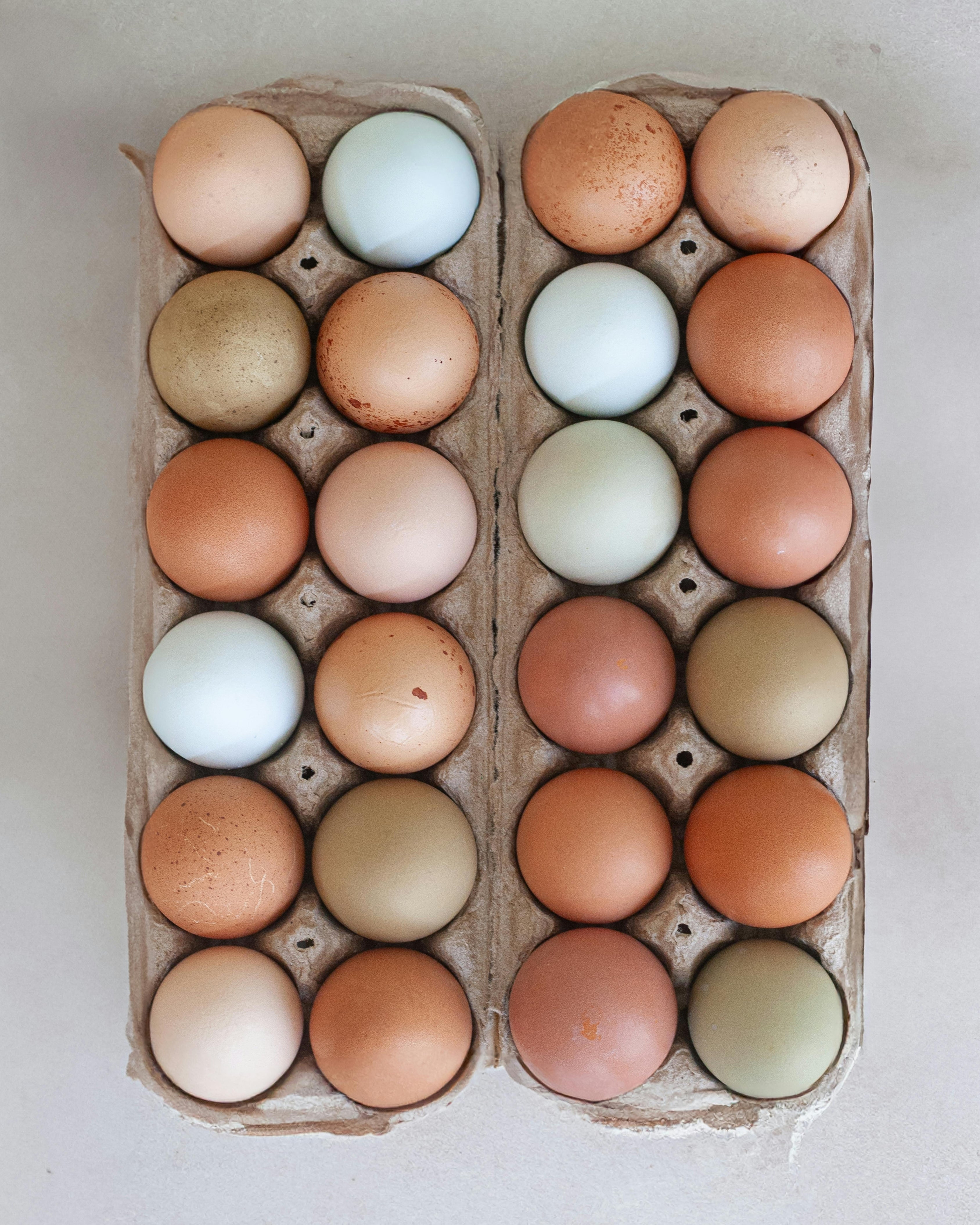 Ingredient: Eggs In Umbria – PastaLoveUK
